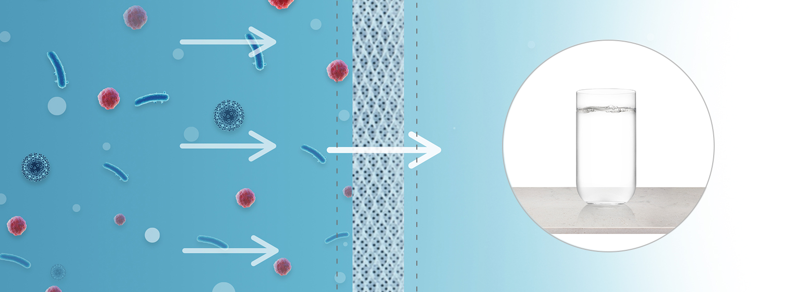 Does Your Filter Do What It Claims To Do? Advice For Zenith Water ...